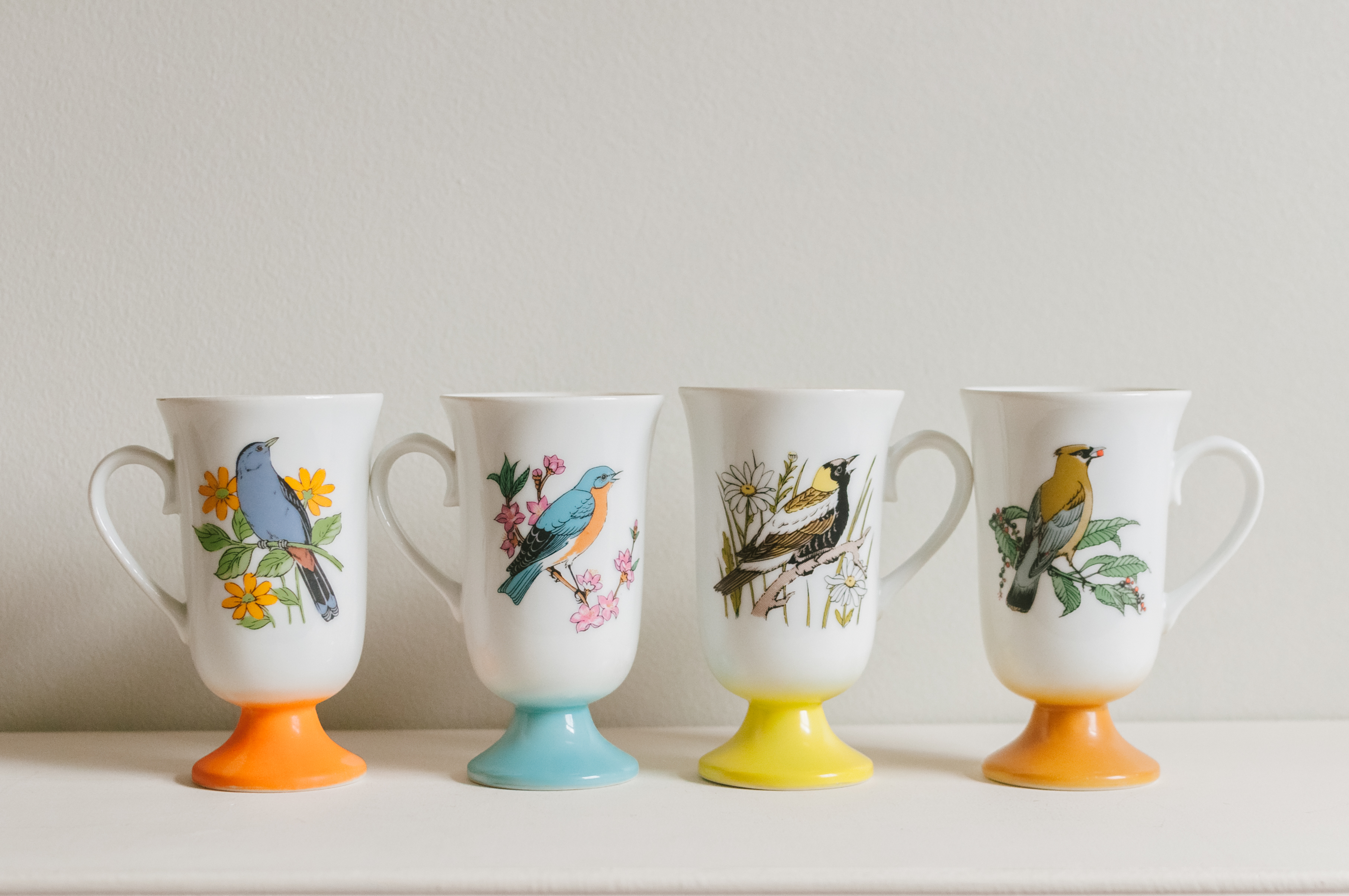 Vibrant Vintage Bird Mugs – foxandpennydesign.com