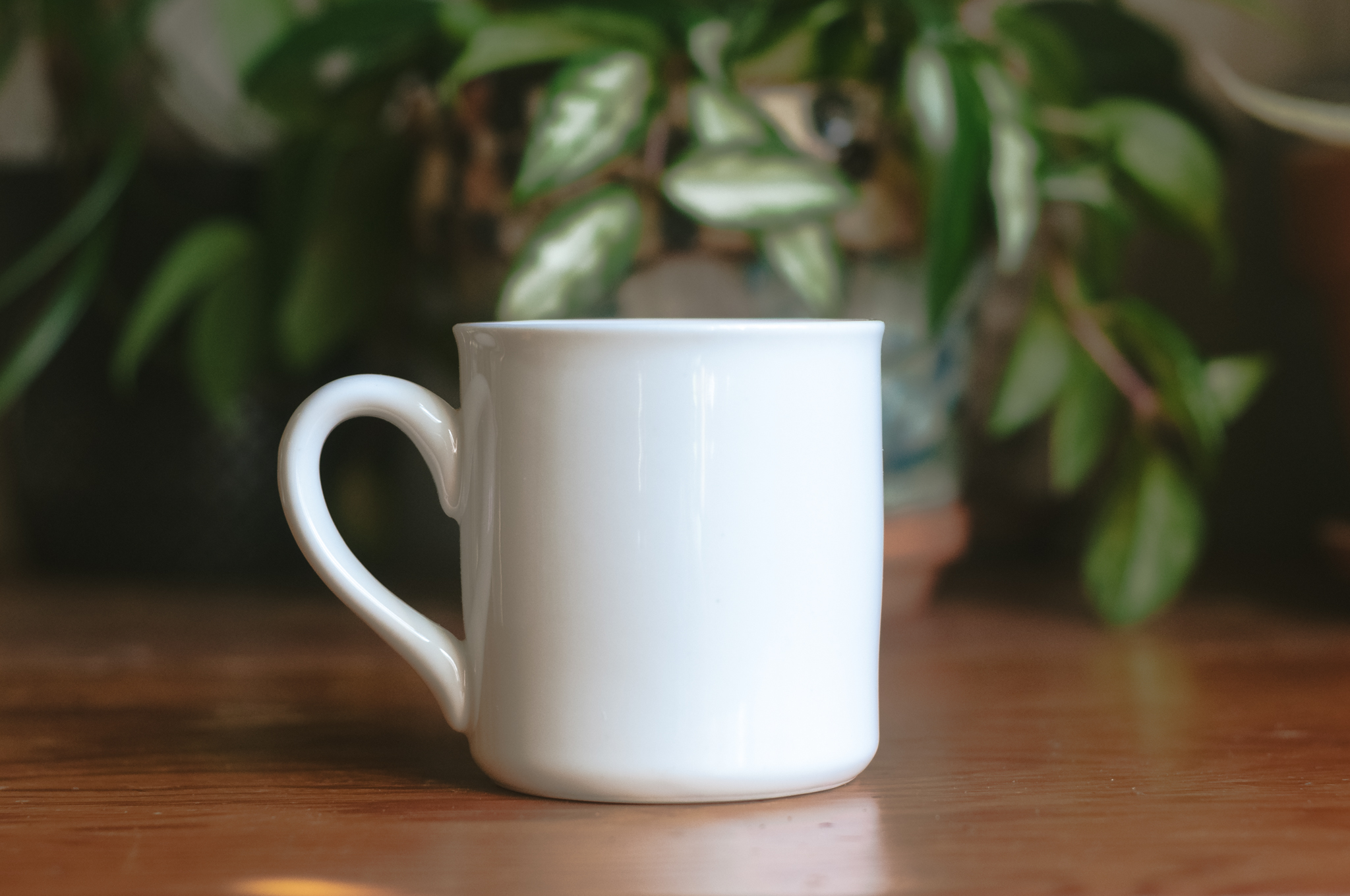 Number 1 Bowler – foxandpennydesign.com